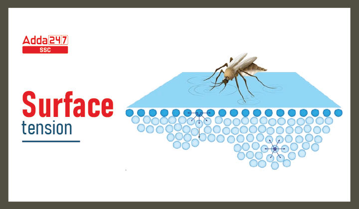 Surface Tension Definition, Formula, Causes, Examples, And, 46% OFF Surface Tension Definition, Formula, Causes, Examples, And, 46% OFF