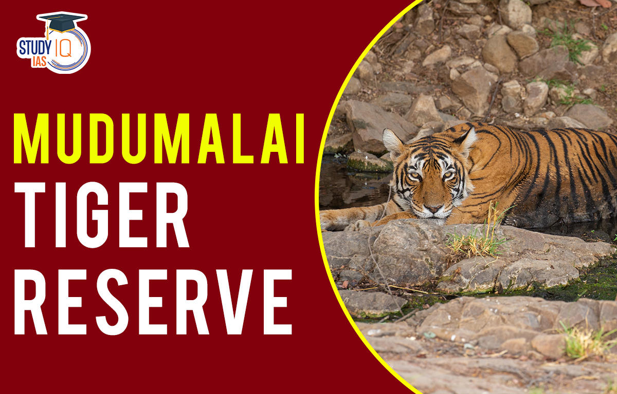 Mudumalai Tiger Reserve Map, Flora, Fauna, Significance Mudumalai Tiger Reserve Map, Flora, Fauna, Significance