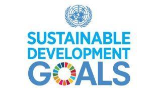 India slips two spots on 17th Sustainable Development Goals report