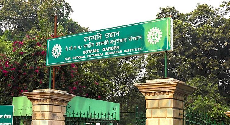 NBRI creates alcohol-based herbal sanitizer