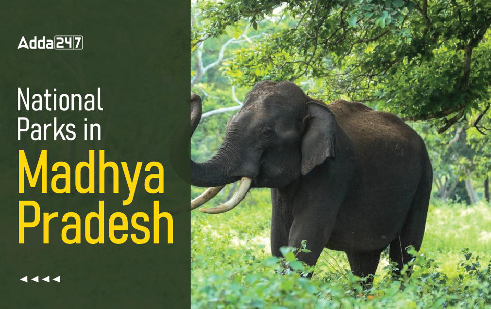 National Parks in Madhya Pradesh, Kuno National Park in MP